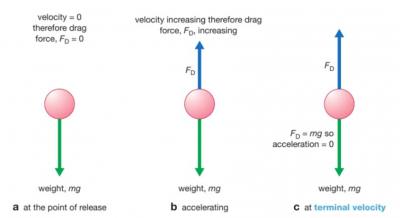 What Is Terminal Velocity Definition Formula